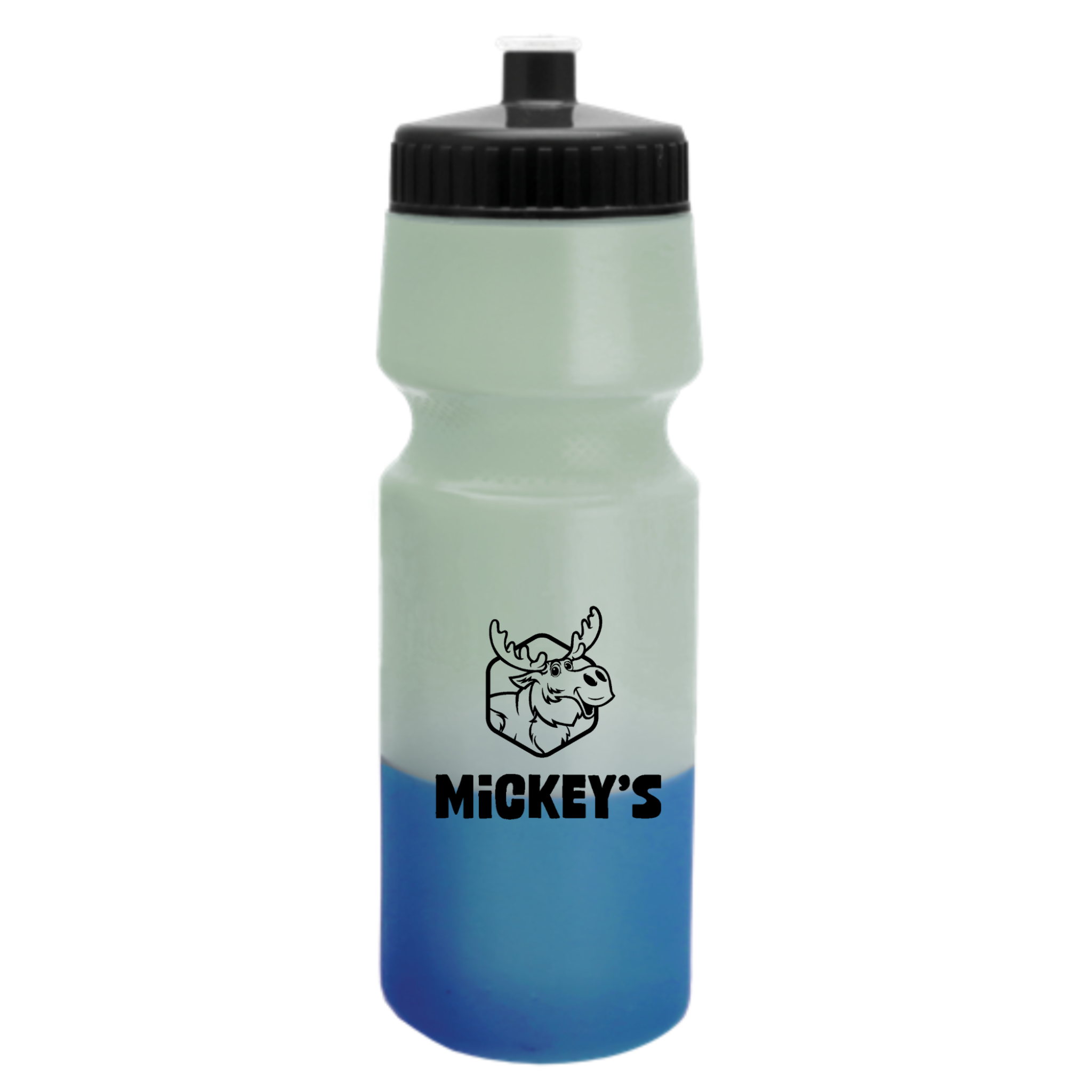 Color Changing Water Bottle – Mickey's